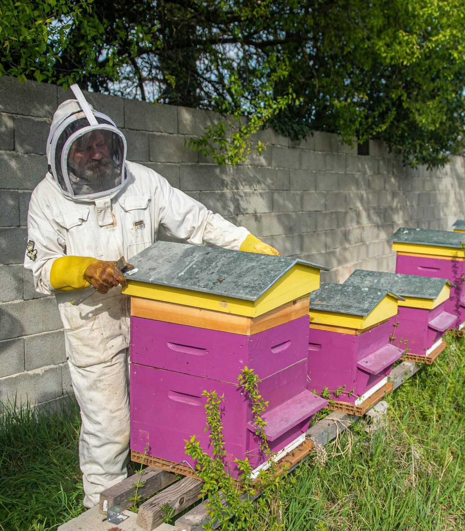 Pascal BY » Rhône Lez Provence